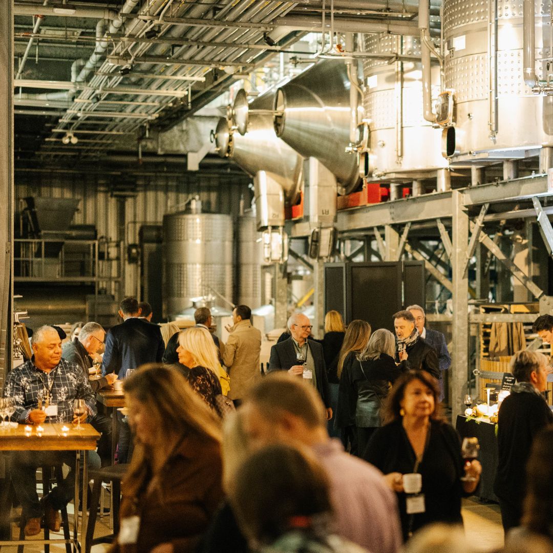 Harvest Party by Night 2024 Photo Gallery – Stratus Vineyards